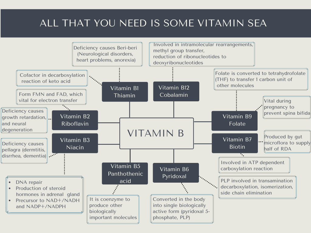 Task 6: Mind-maps of vitamins – Welcome to Ming's Blog