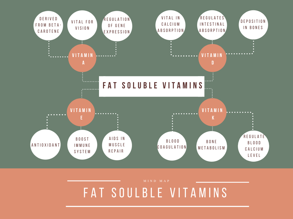 Task 6: Mind-maps of vitamins – Welcome to Ming's Blog